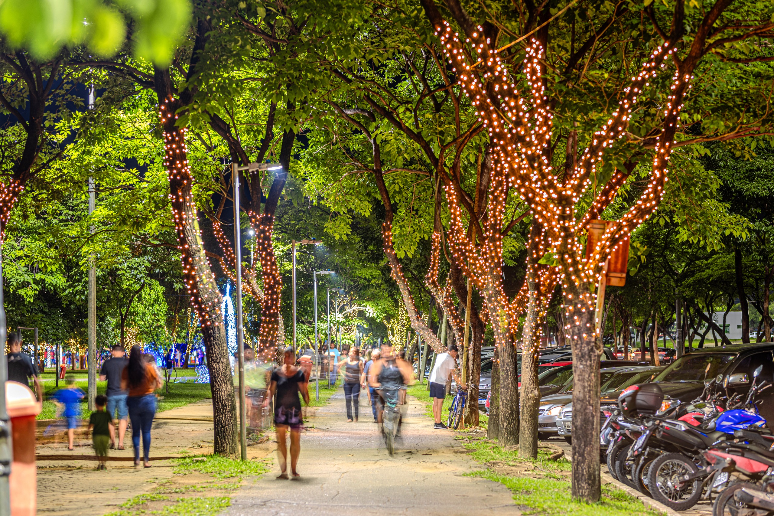 Iluminação de Natal do Parque Ipanema sofre com depredações - Jornal ...